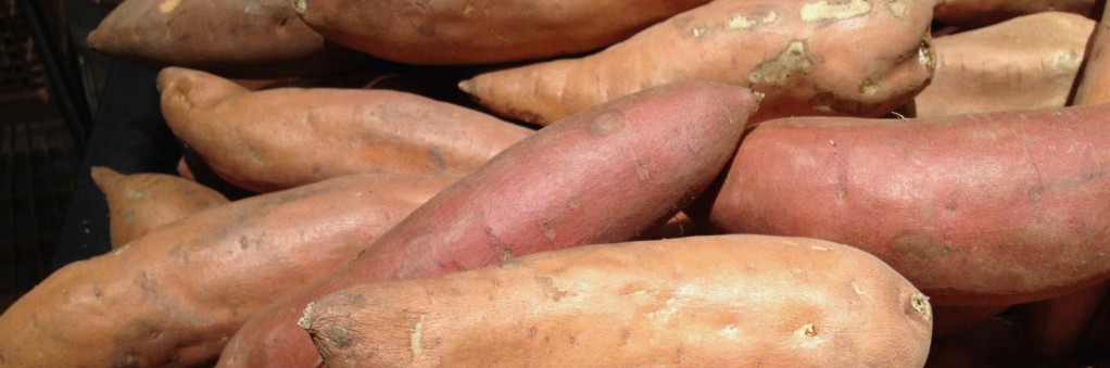 YAM MANIA - Life is Suite